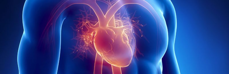 CARDIOLOGY – Reddington Multi-Specialist Hospital